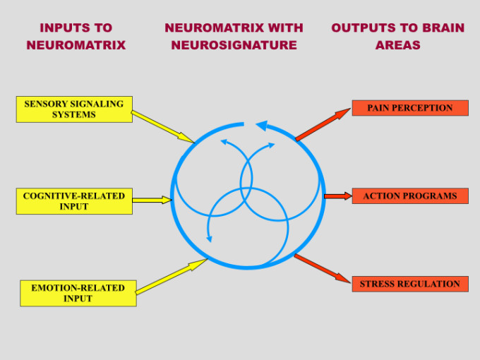 Medical Massage Courses & Certification | Science of Massage Institute ...
