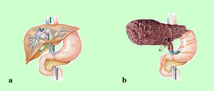 Medical Massage Courses & Certification | Science of Massage Institute ...