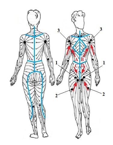 Medical Massage Courses & Certification | Science of Massage Institute ...