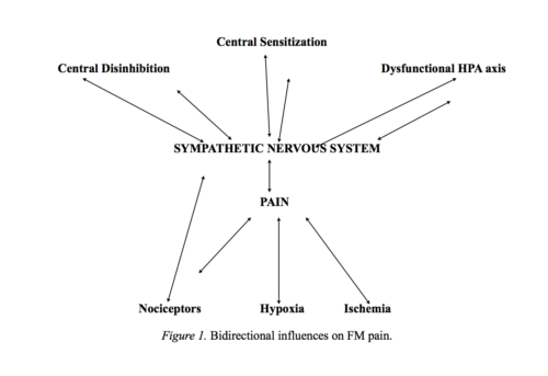 Medical Massage Courses & Certification | Science of Massage Institute ...