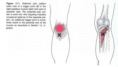 Medical Massage Courses & Certification | Science of Massage Institute ...