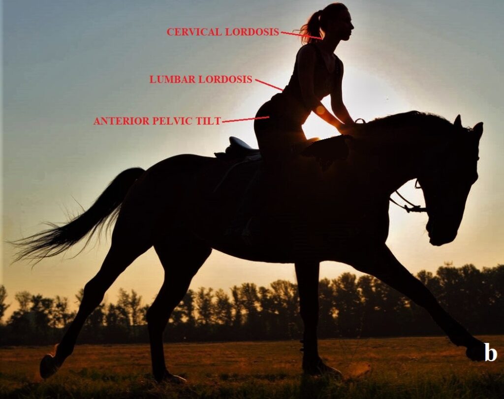 Medical Massage Courses & Certification | Science of Massage Institute ...